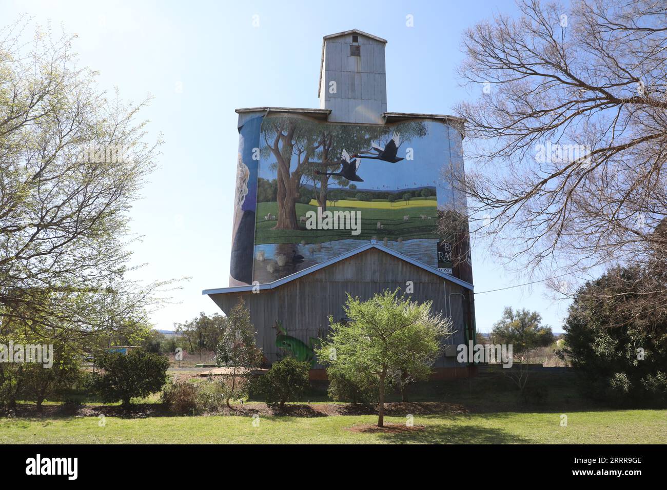 Dunedoo hi-res stock photography and images - Alamy