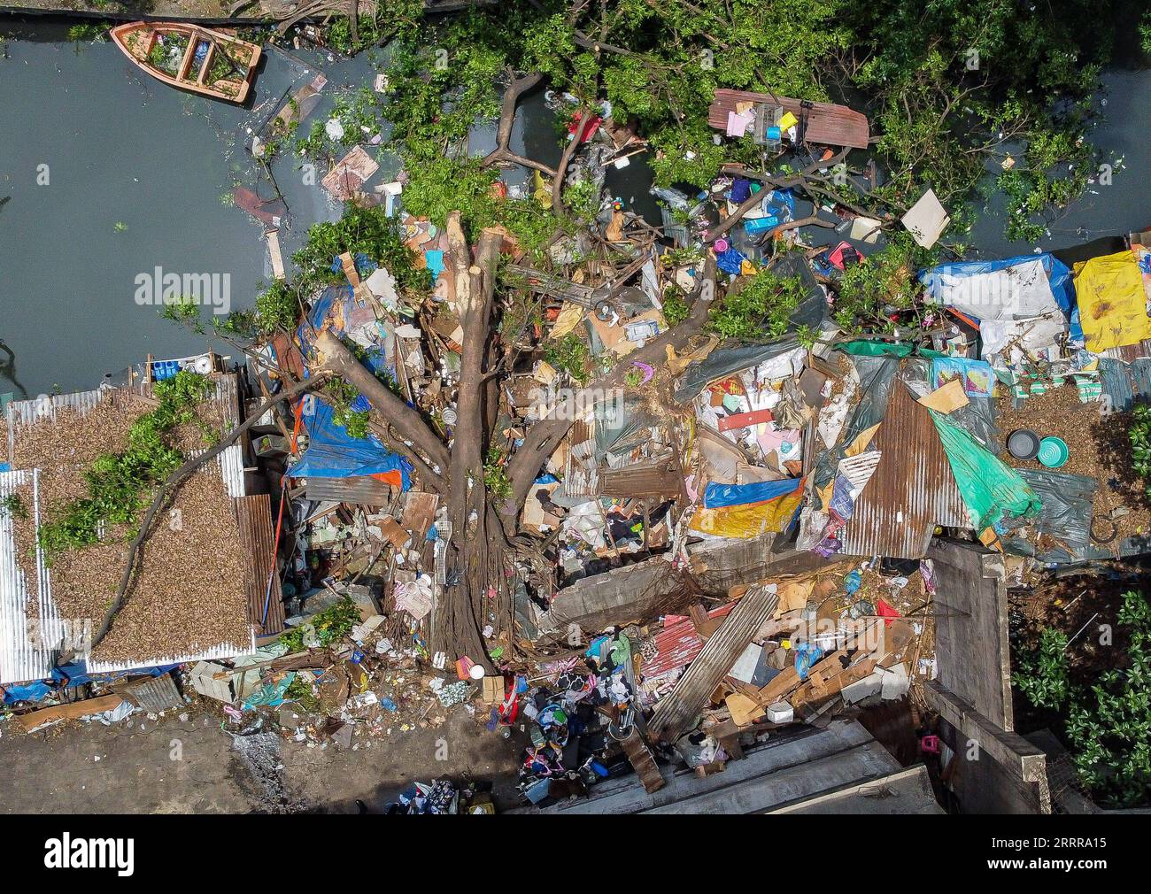 230518 -- MANILA, May 18, 2023 -- A fallen tree is seen at a drainage ...