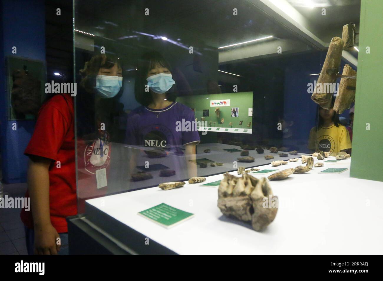 Yangon national museum hi-res stock photography and images - Alamy