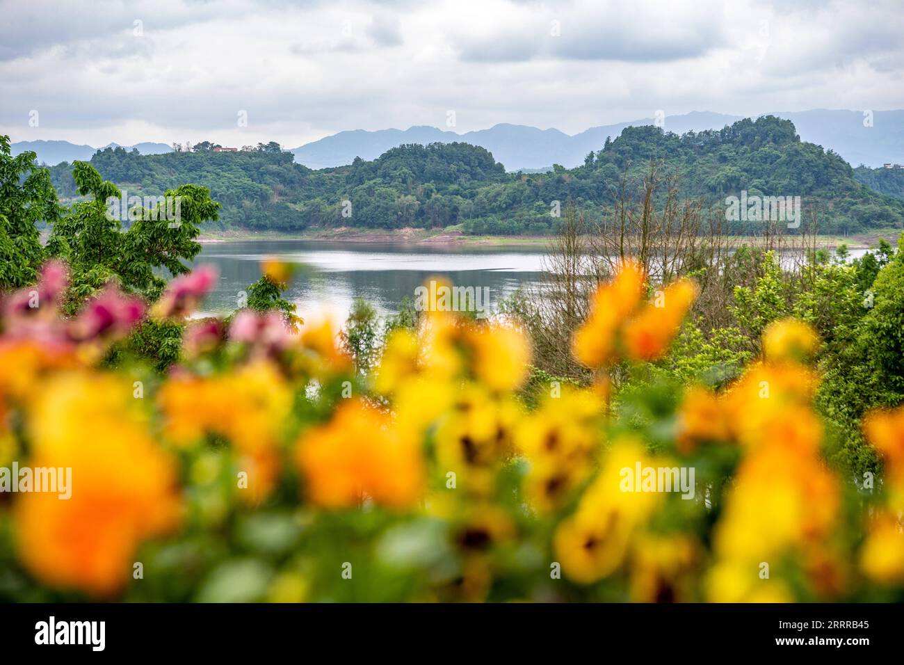 230520 -- CHONGQING, May 20, 2023 -- This photo taken on May 16, 2023 ...