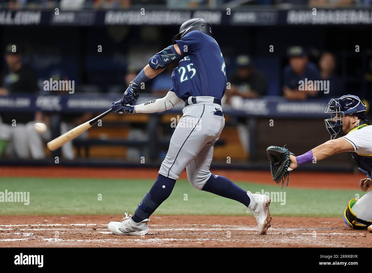 St. Petersburg, FL USA; during an MLB game on Friday, September 8, 2023 ...