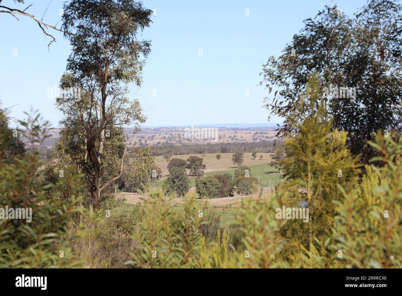 View from Cassilis Park Rest Area, New South Wales, Australia Stock ...