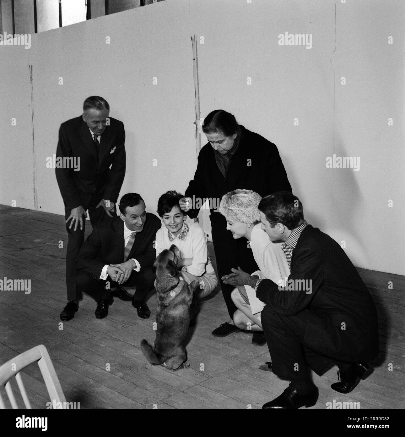 Gruppe mannchen hi-res stock photography and images - Alamy