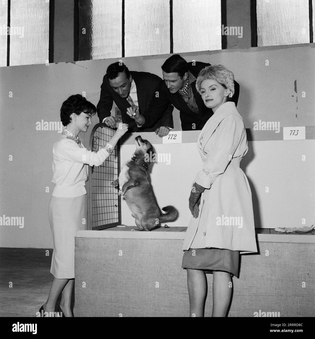 Sturm im Wasserglas, Spielfilm nach dem Bühnenstück von Bruno Frank ...