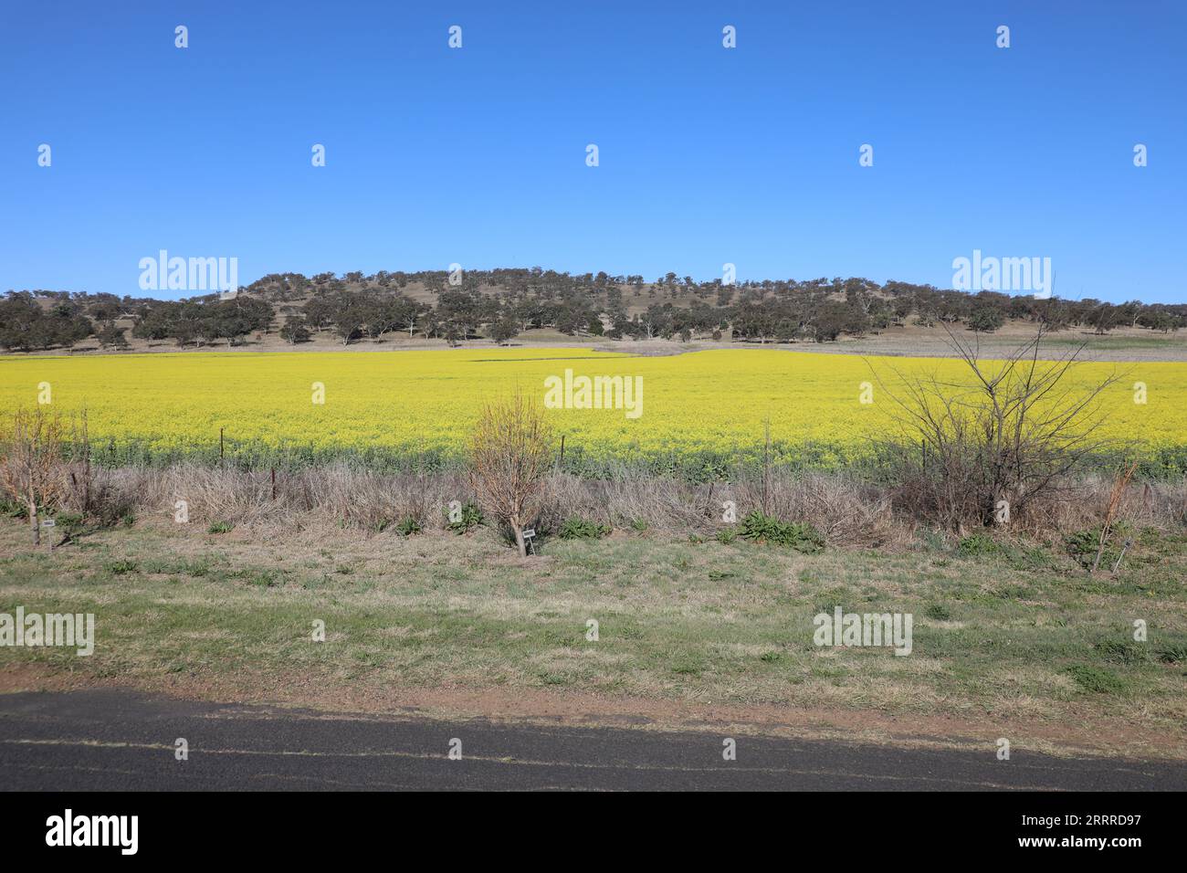 Cassilis hi-res stock photography and images - Alamy