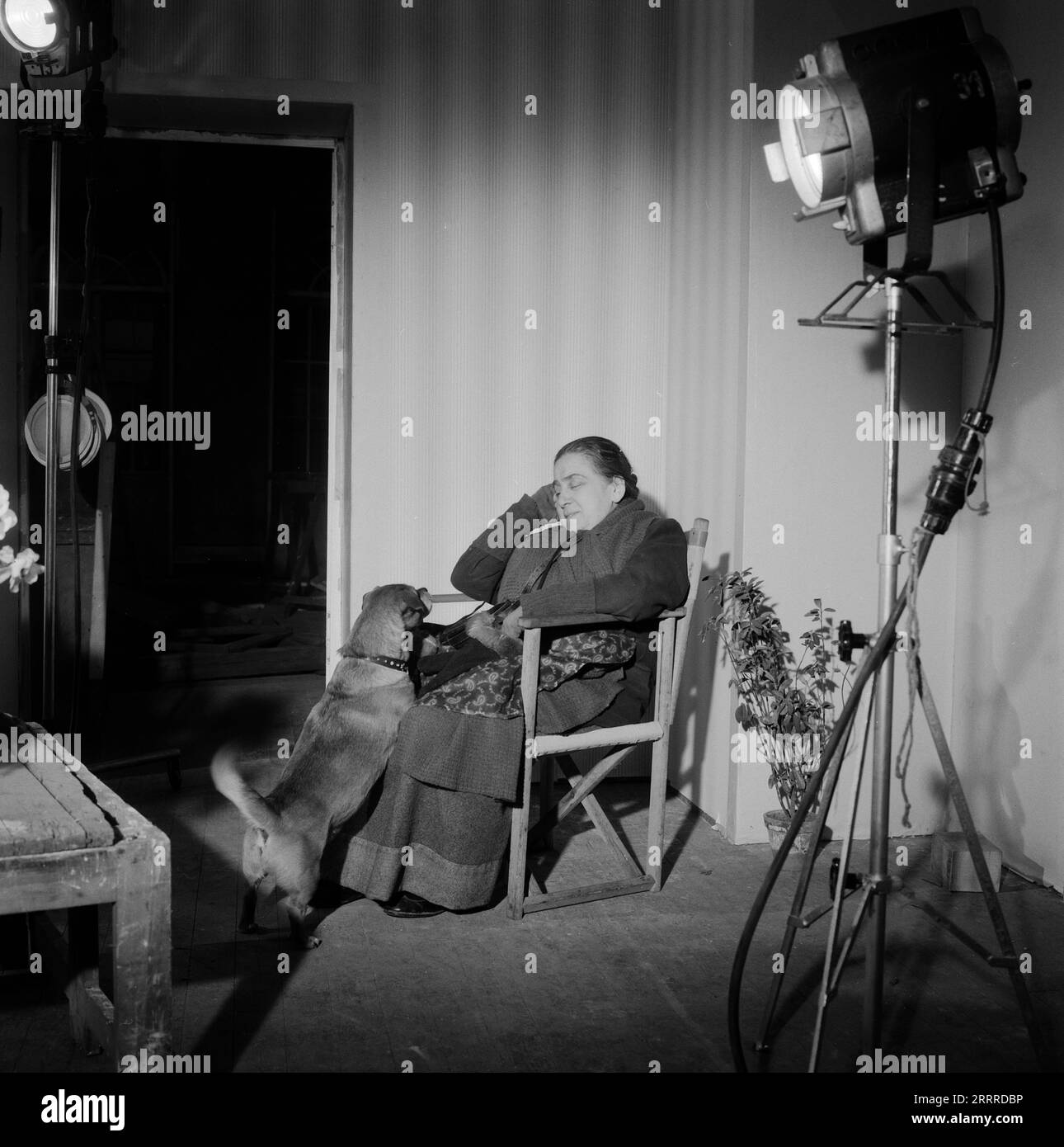 Hund sitzen Black and White Stock Photos & Images - Alamy