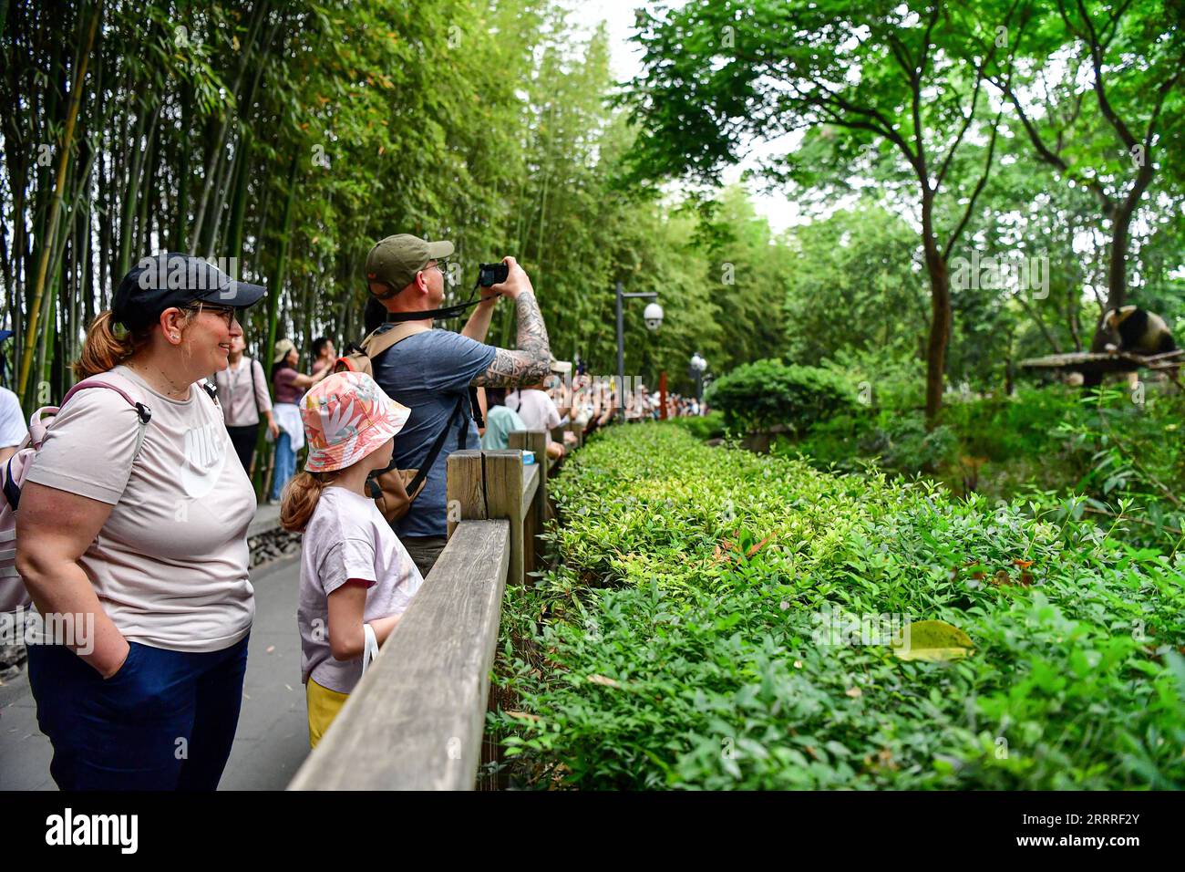 230526 -- CHENGDU, May 26, 2023 -- Ninon Vernay and her parents watch ...