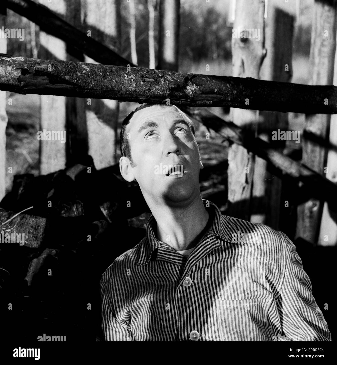 Agatha, laß das Morden sein!, Krimikomödie, Deutschland 1960, Regie ...