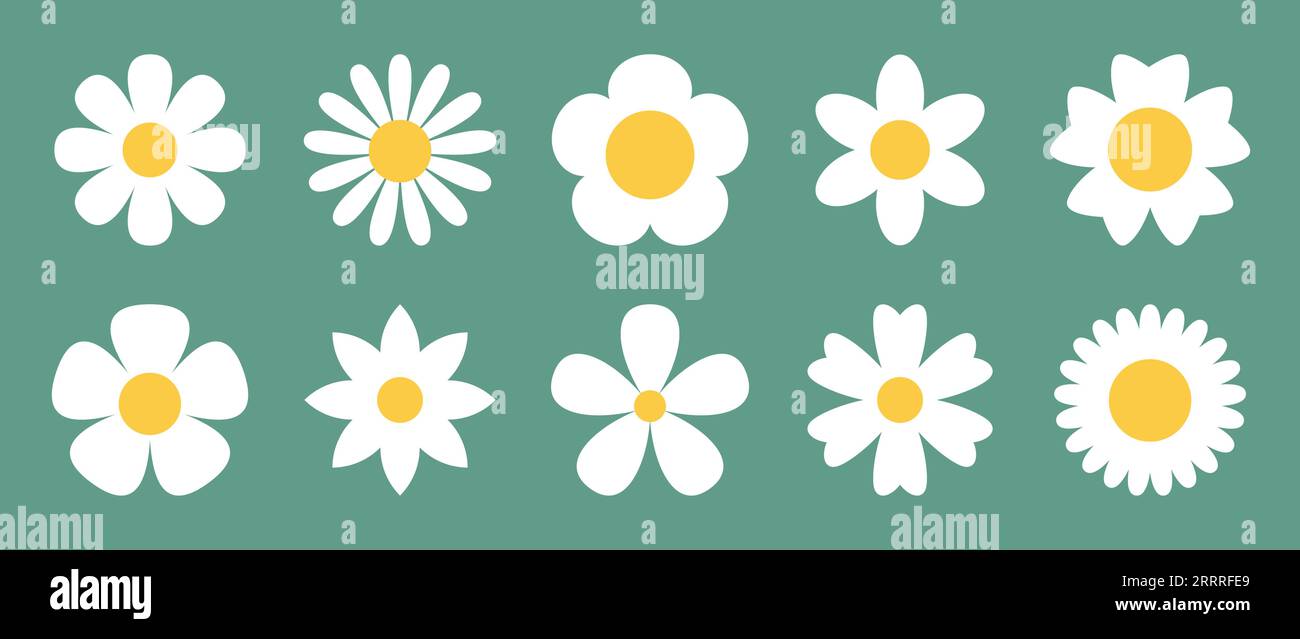 Daisy chamomile flower petals set Stock Vector Image & Art - Alamy
