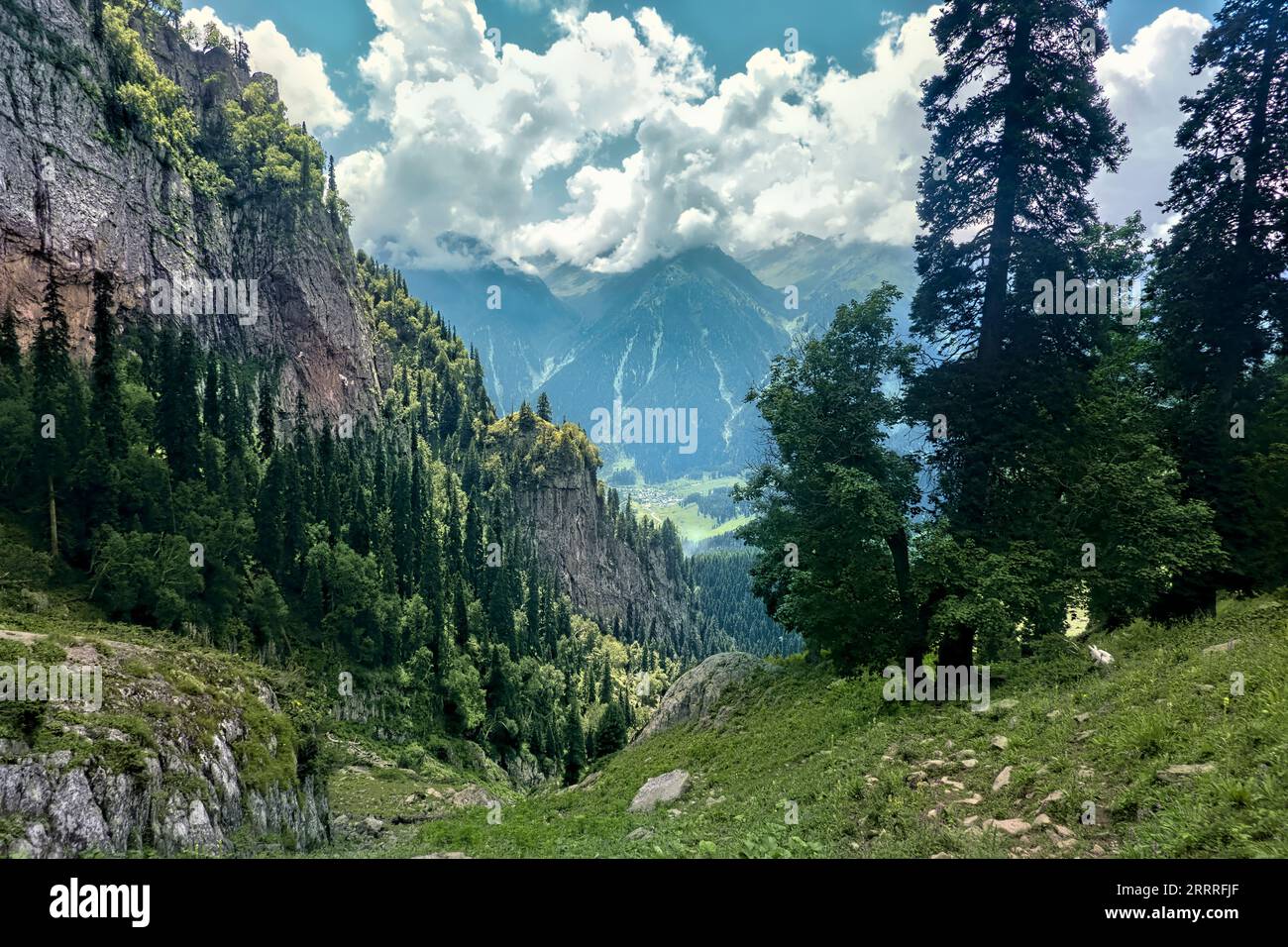 Beautiful landscape aru valley pahalgam hi-res stock photography and ...