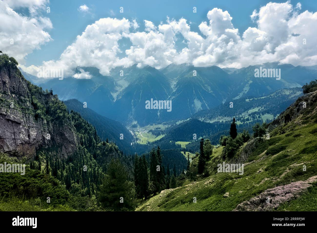 Forest views in the beautiful Aru Valley, Pahalgam, Kashmir, India ...