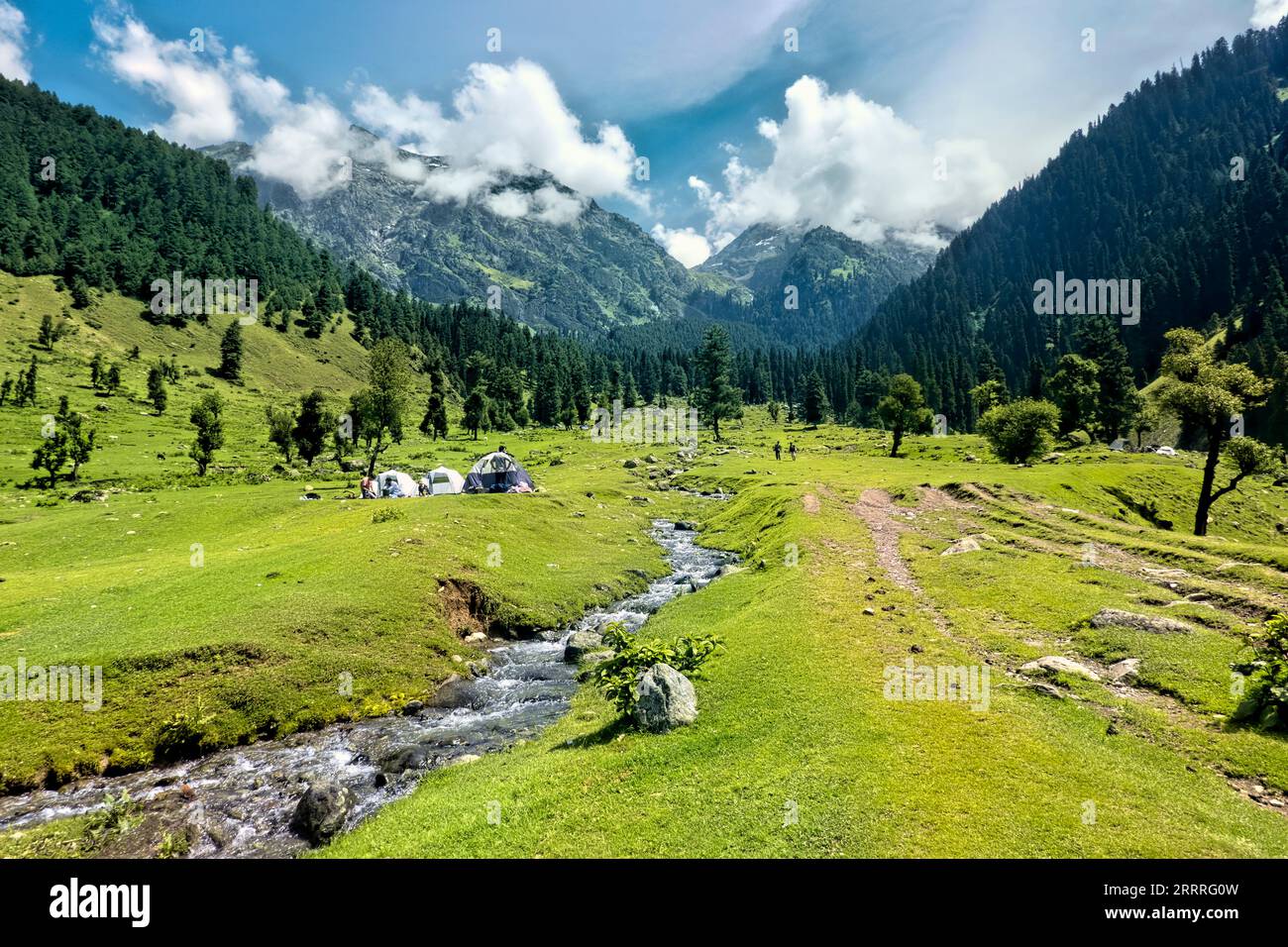 Forest views in the beautiful Aru Valley, Pahalgam, Kashmir, India ...