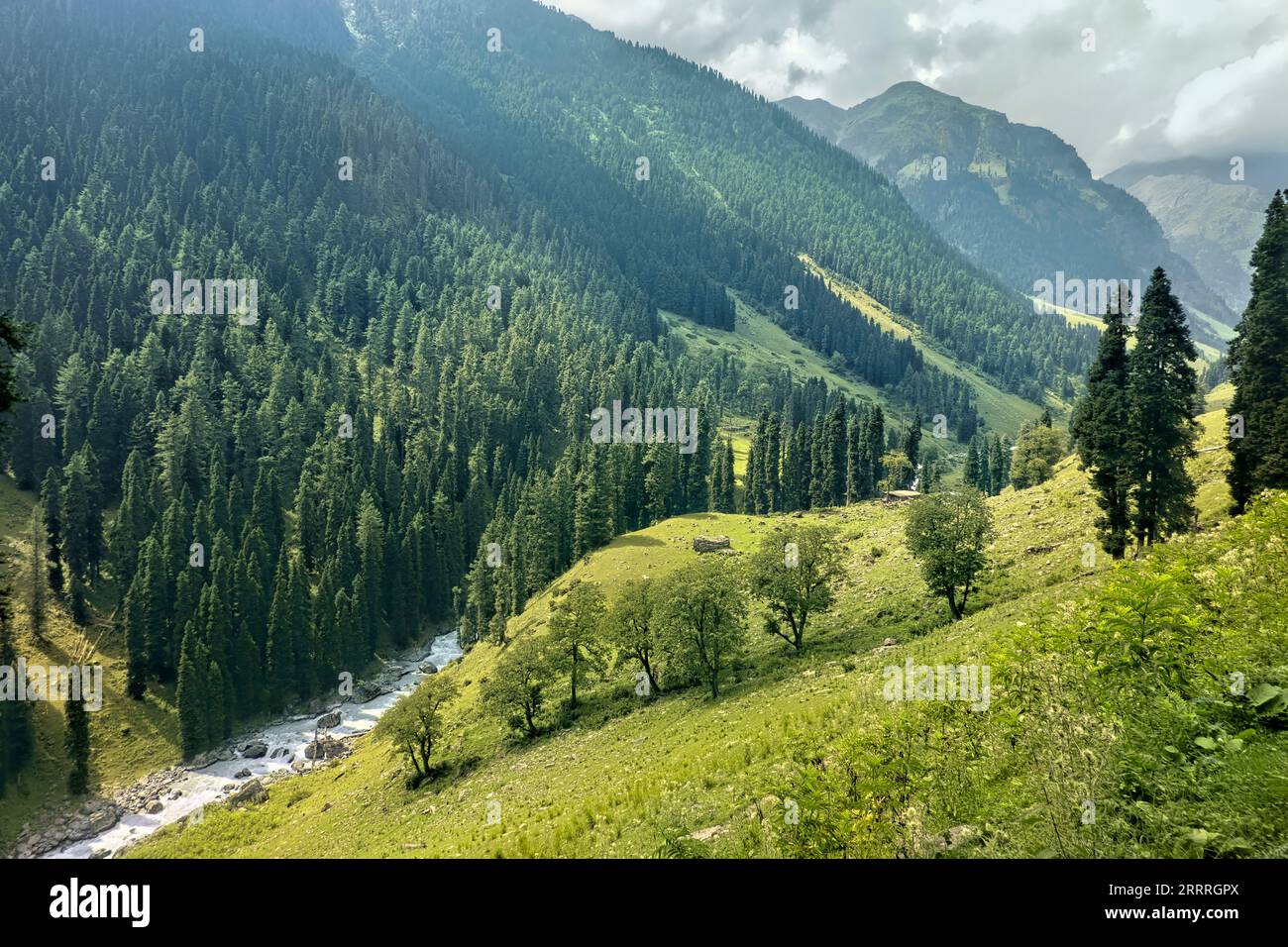 Alpine views in the beautiful Lidderwat Valley, Aru, Pahalgam, Kashmir ...