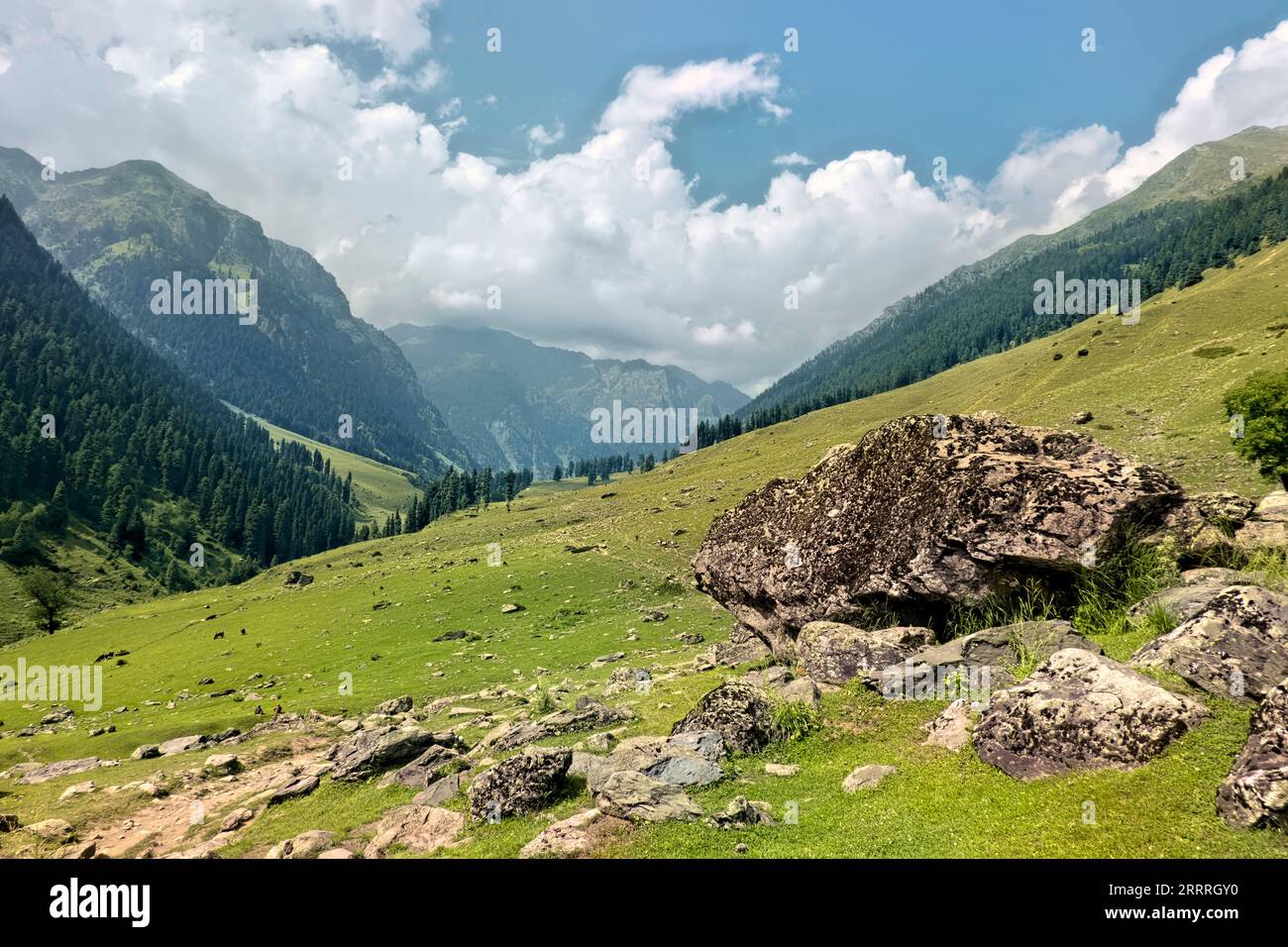 Alpine views in the beautiful Lidderwat Valley, Aru, Pahalgam, Kashmir ...
