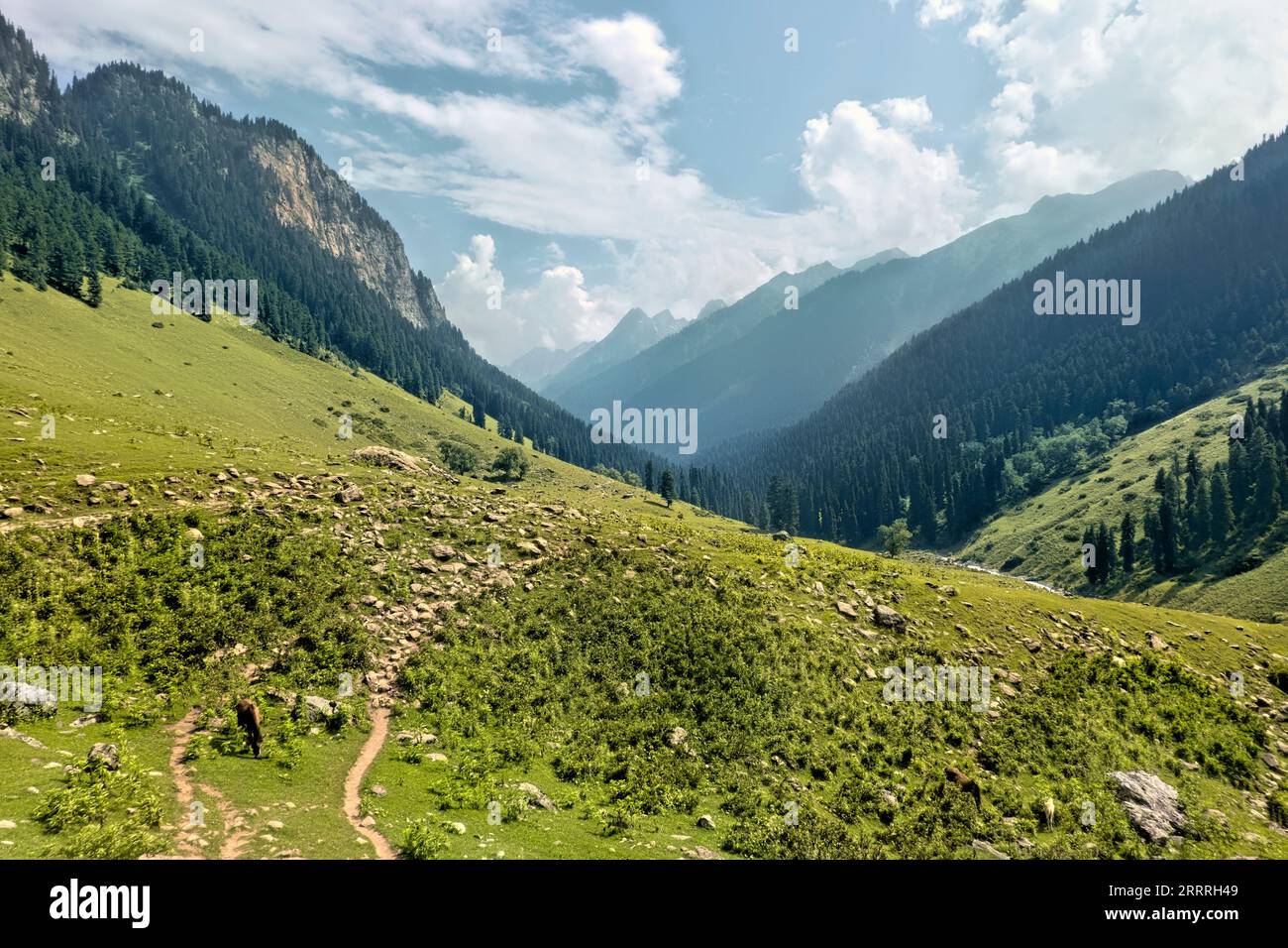 Alpine views in the beautiful Lidderwat Valley, Aru, Pahalgam, Kashmir ...
