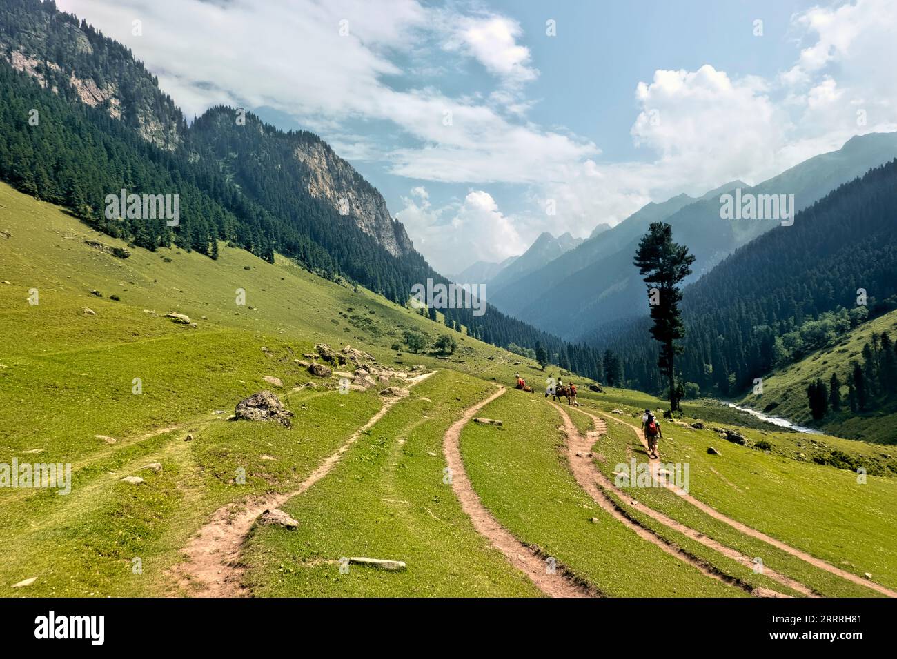 Alpine views in the beautiful Lidderwat Valley, Aru, Pahalgam, Kashmir ...