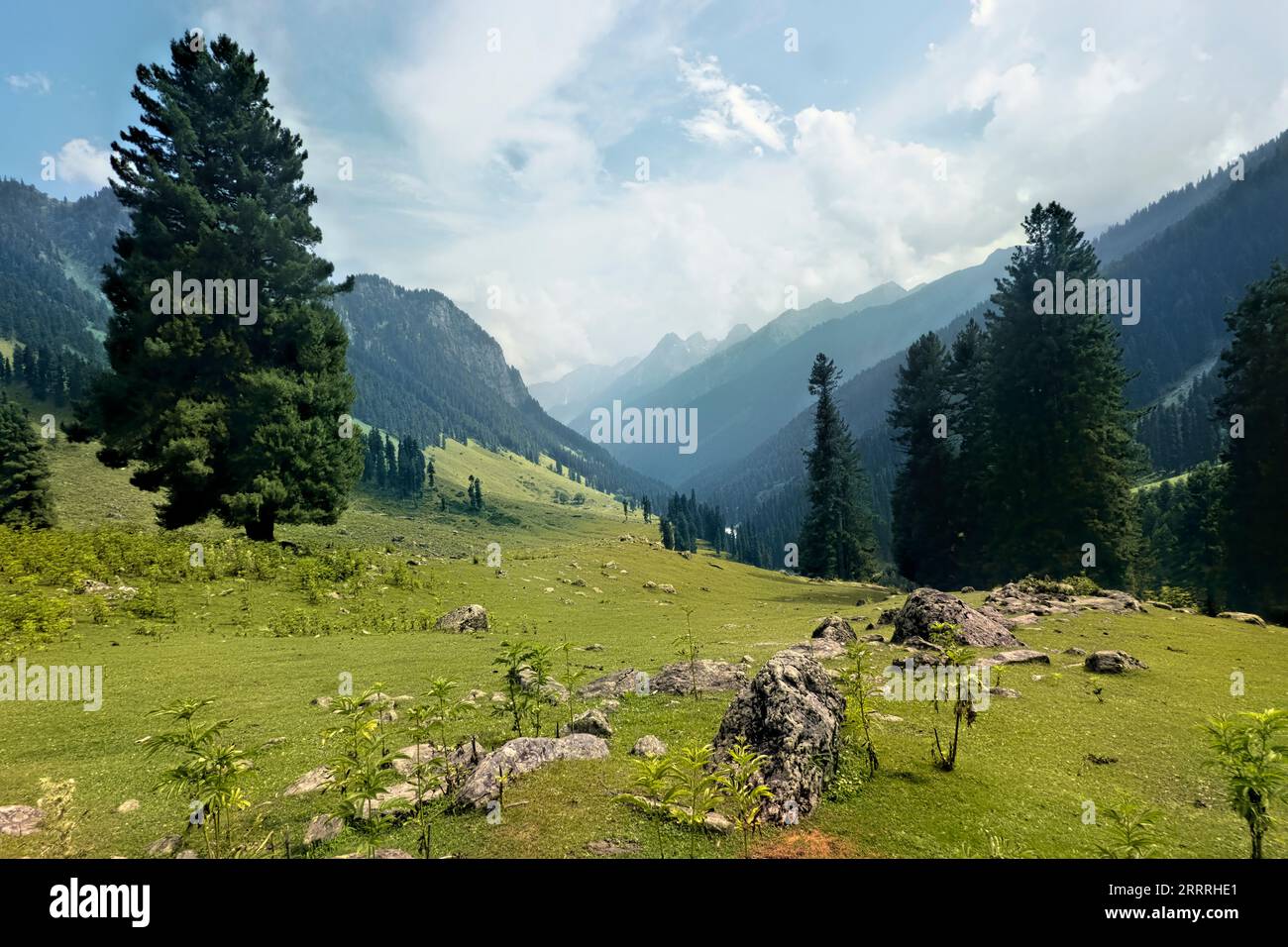 Alpine views in the beautiful Lidderwat Valley, Aru, Pahalgam, Kashmir ...