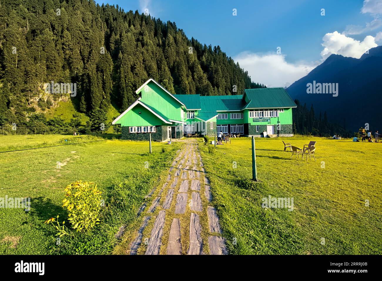 Sunflowers and chalet, Aru Valley, Pahalgam, Kashmir, India Stock Photo ...