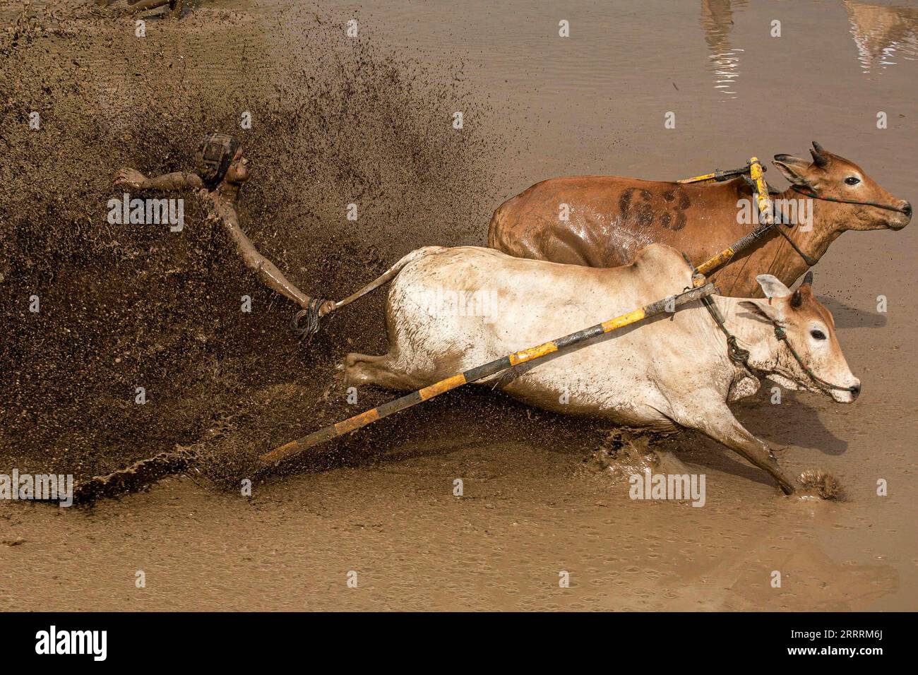 230603 -- WEST SUMATRA, June 3, 2023 -- A man attends a traditional ...