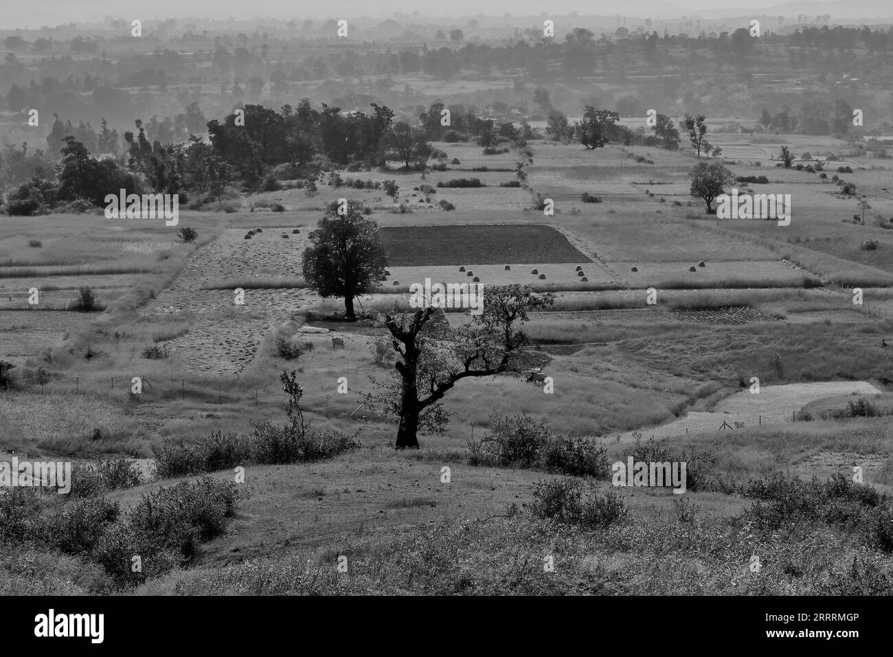 Farms landscape Black and White Stock Photos & Images - Alamy
