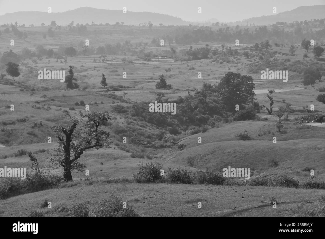 Indian countryside hi-res stock photography and images - Alamy
