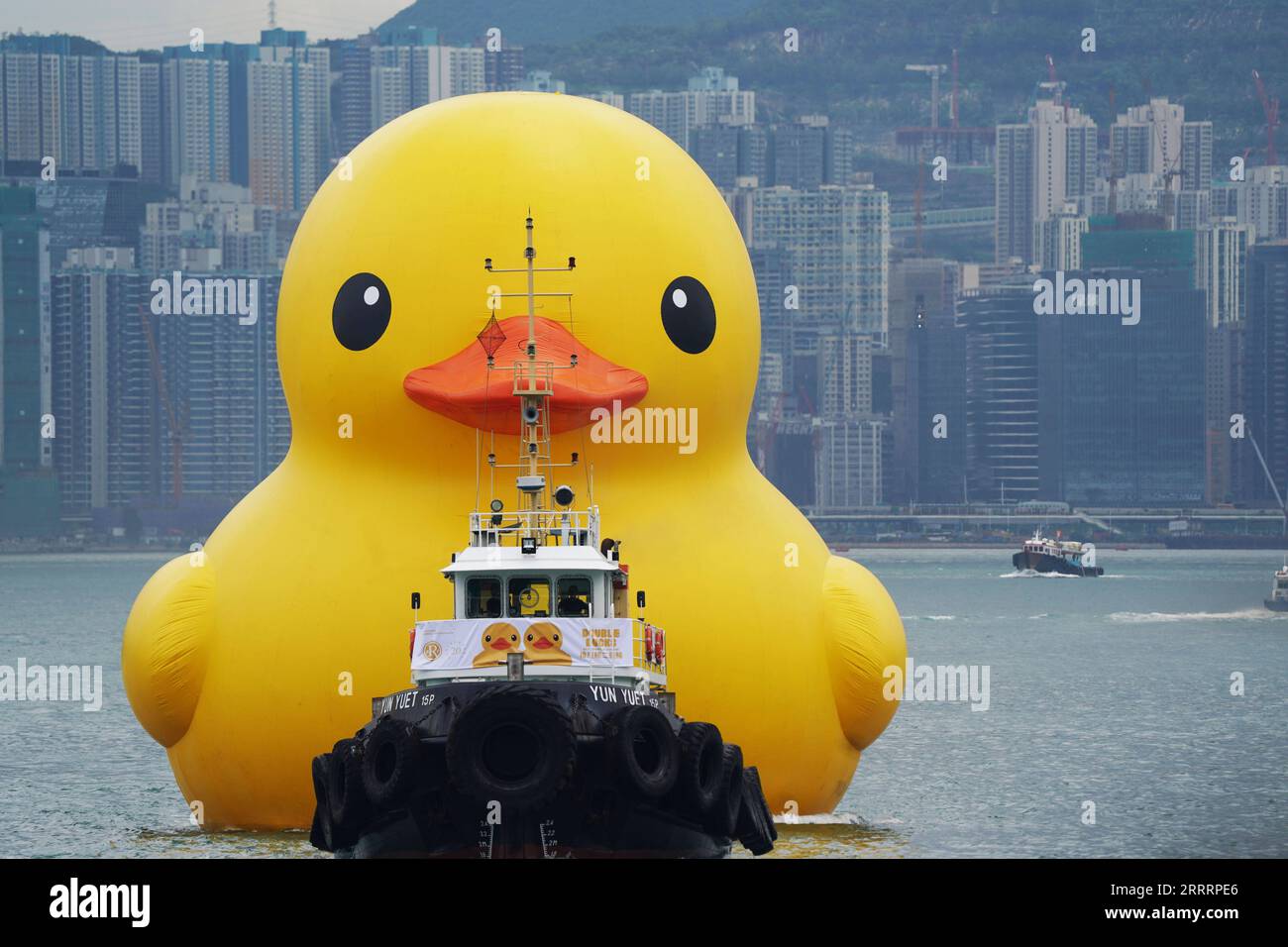 230609 -- HONG KONG, June 9, 2023 -- A giant yellow rubber duck is seen ...
