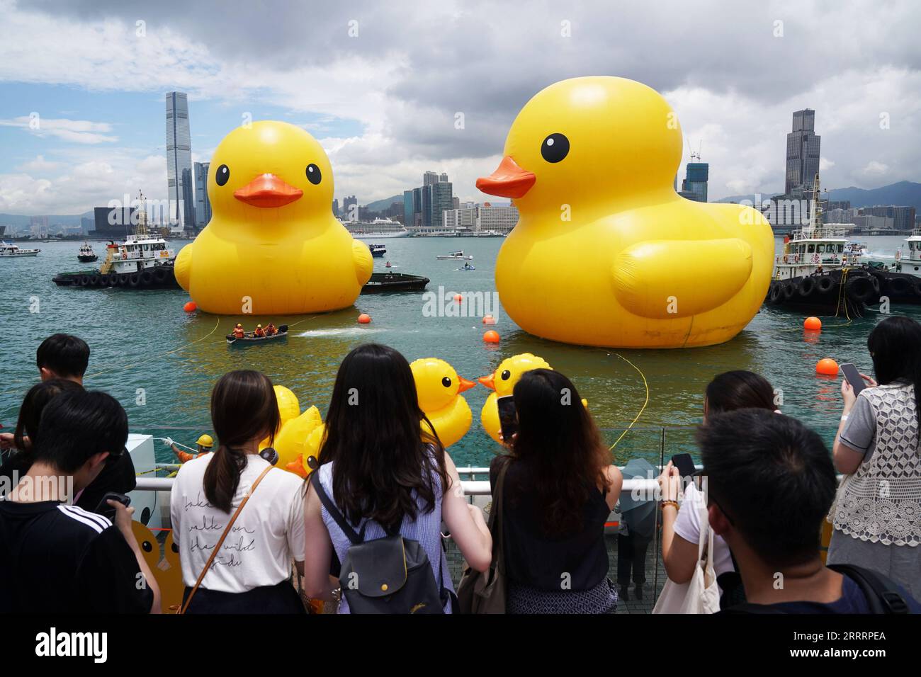 230609 -- HONG KONG, June 9, 2023 -- People look at a pair of giant yellow rubber ducks at ...