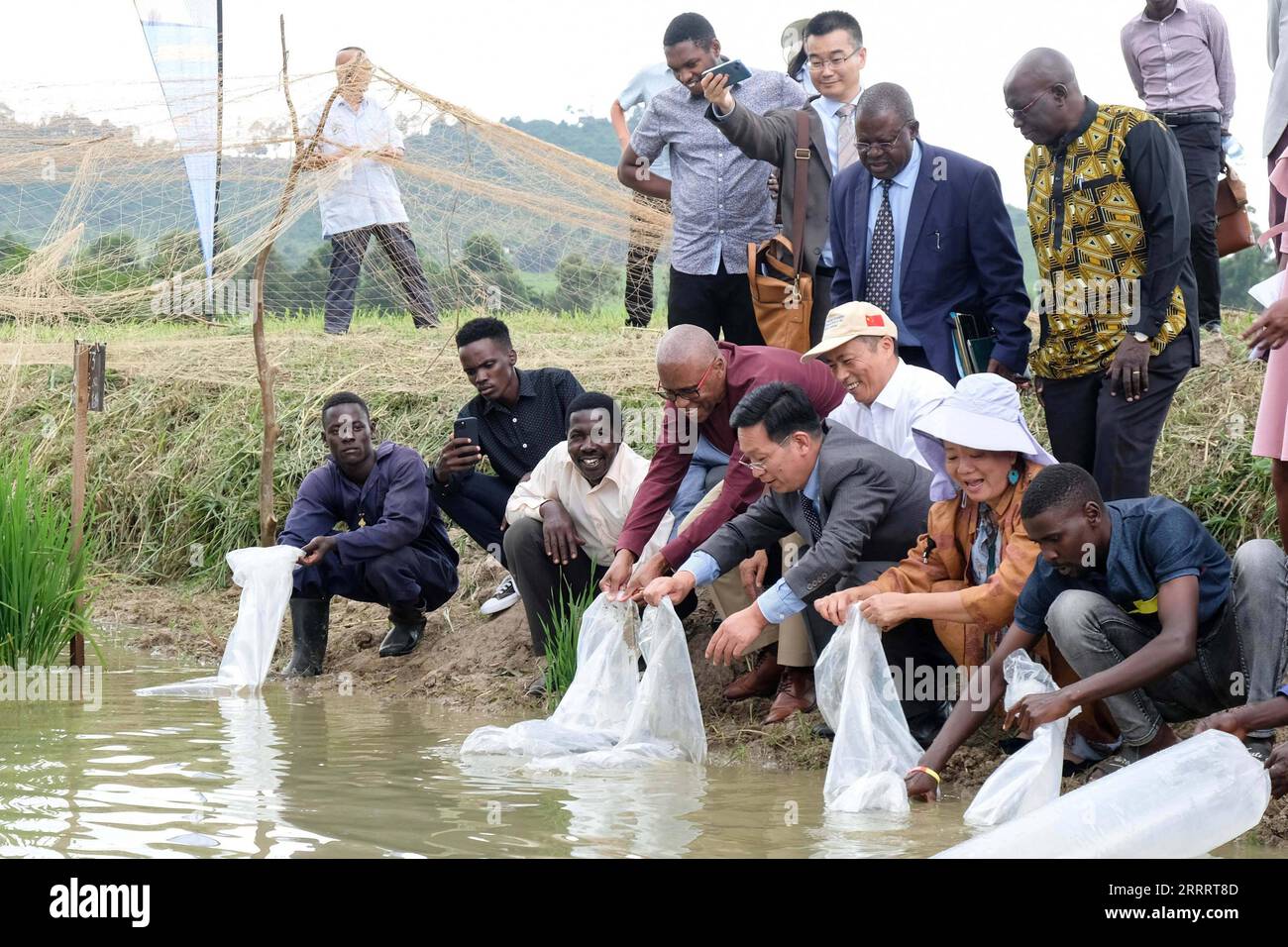 Fish food research hi-res stock photography and images - Alamy