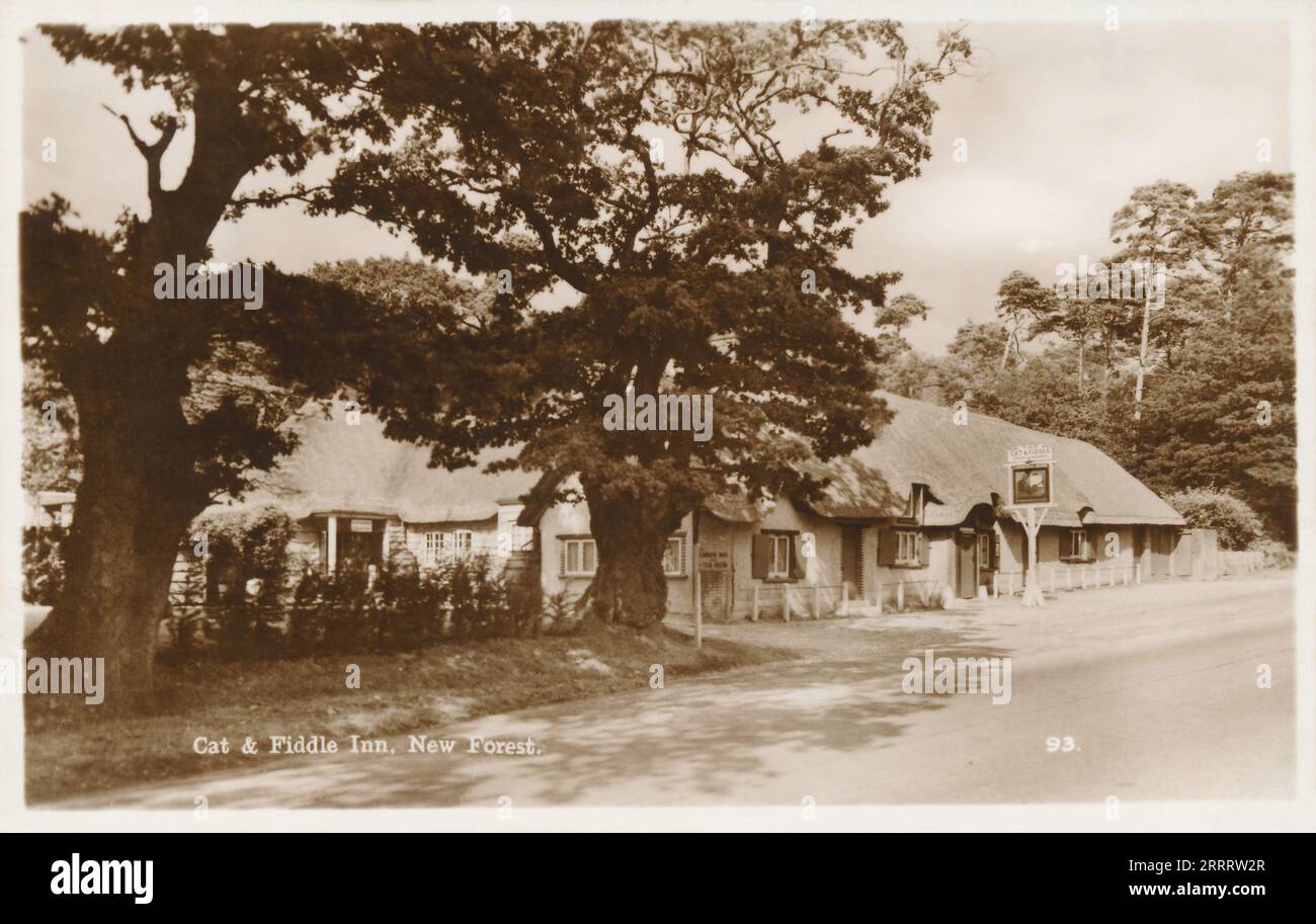 Vintage postcard of the Cat And Fiddle Inn in the New Forest in ...