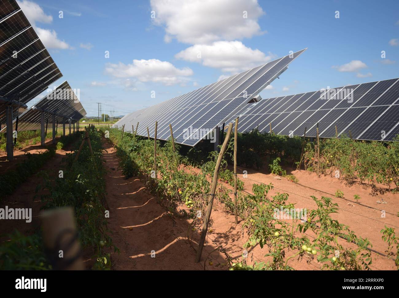 230616 -- GABORONE, June 16, 2023 -- This photo taken on March 15, 2023 ...