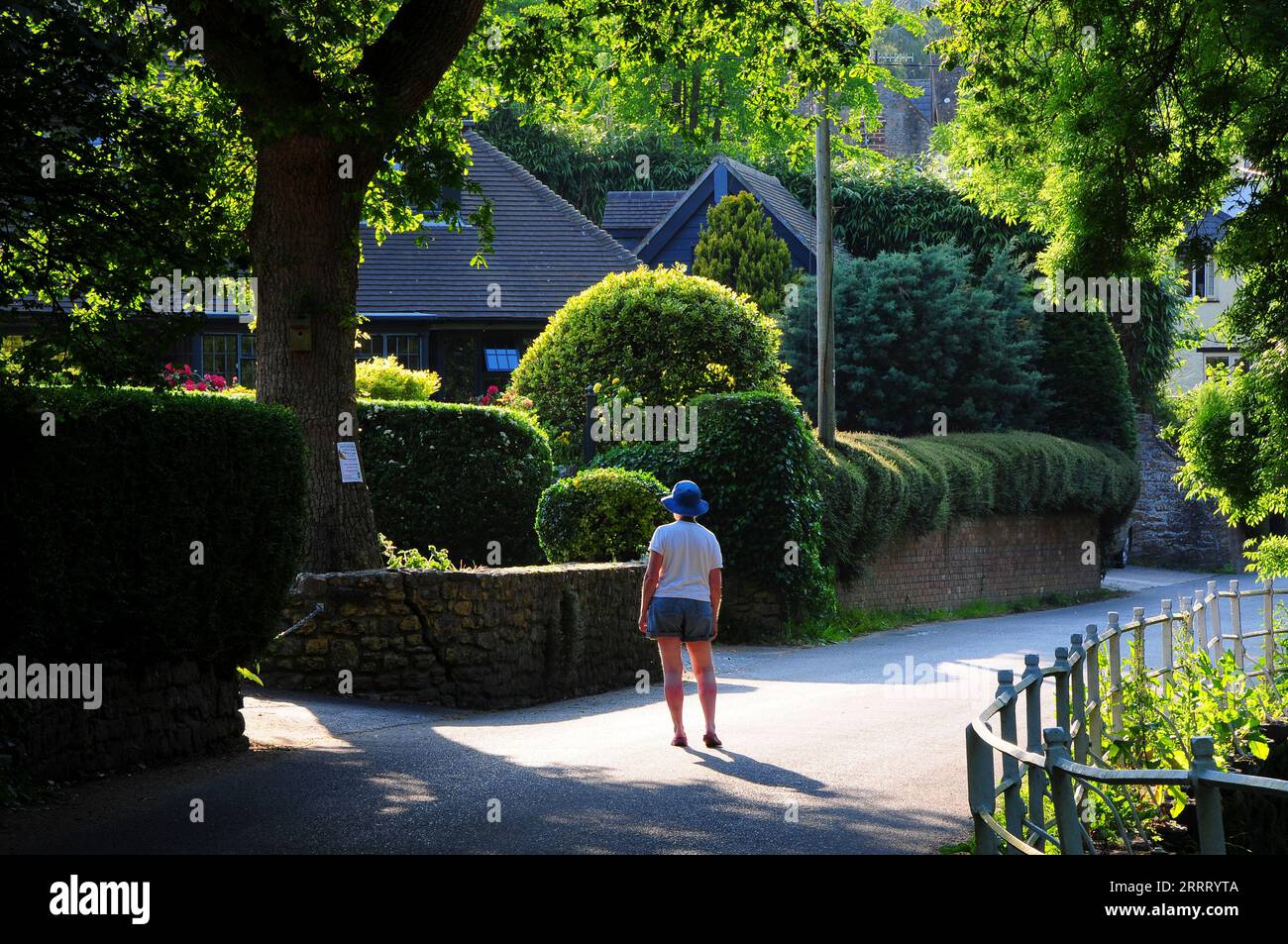Netherbury rural village in West Dorset, UK Stock Photo - Alamy