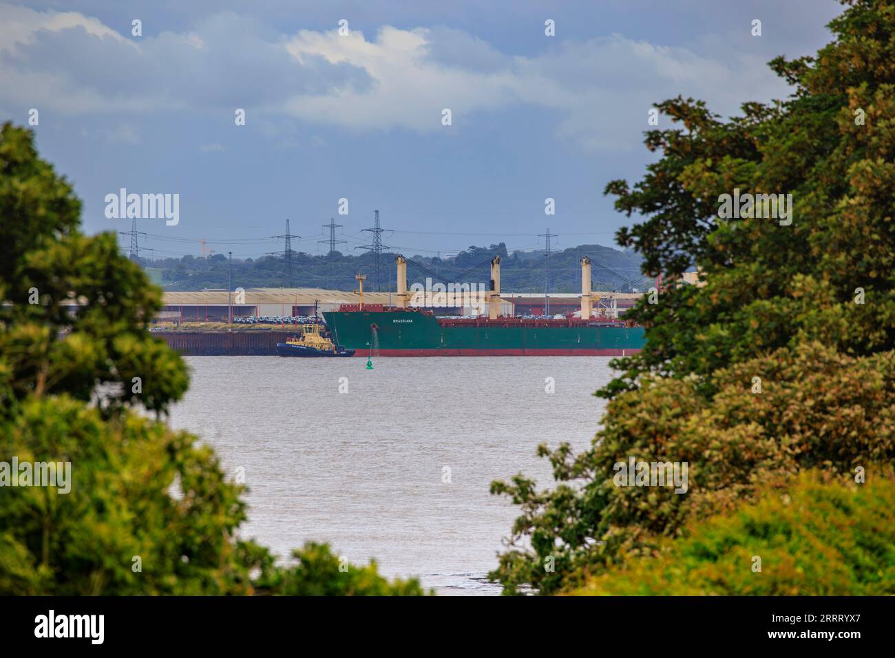Bassiana bulk carrier leaving Royal Portbury docks Stock Photo - Alamy