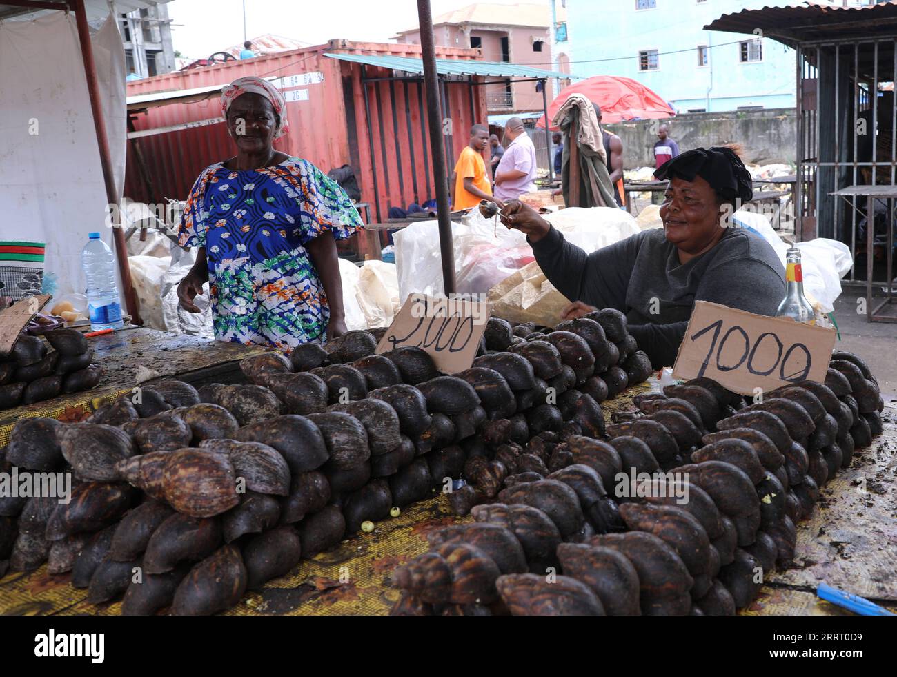 230620 -- MALABO, June 20, 2023 -- This photo taken on June 18, 2023 ...