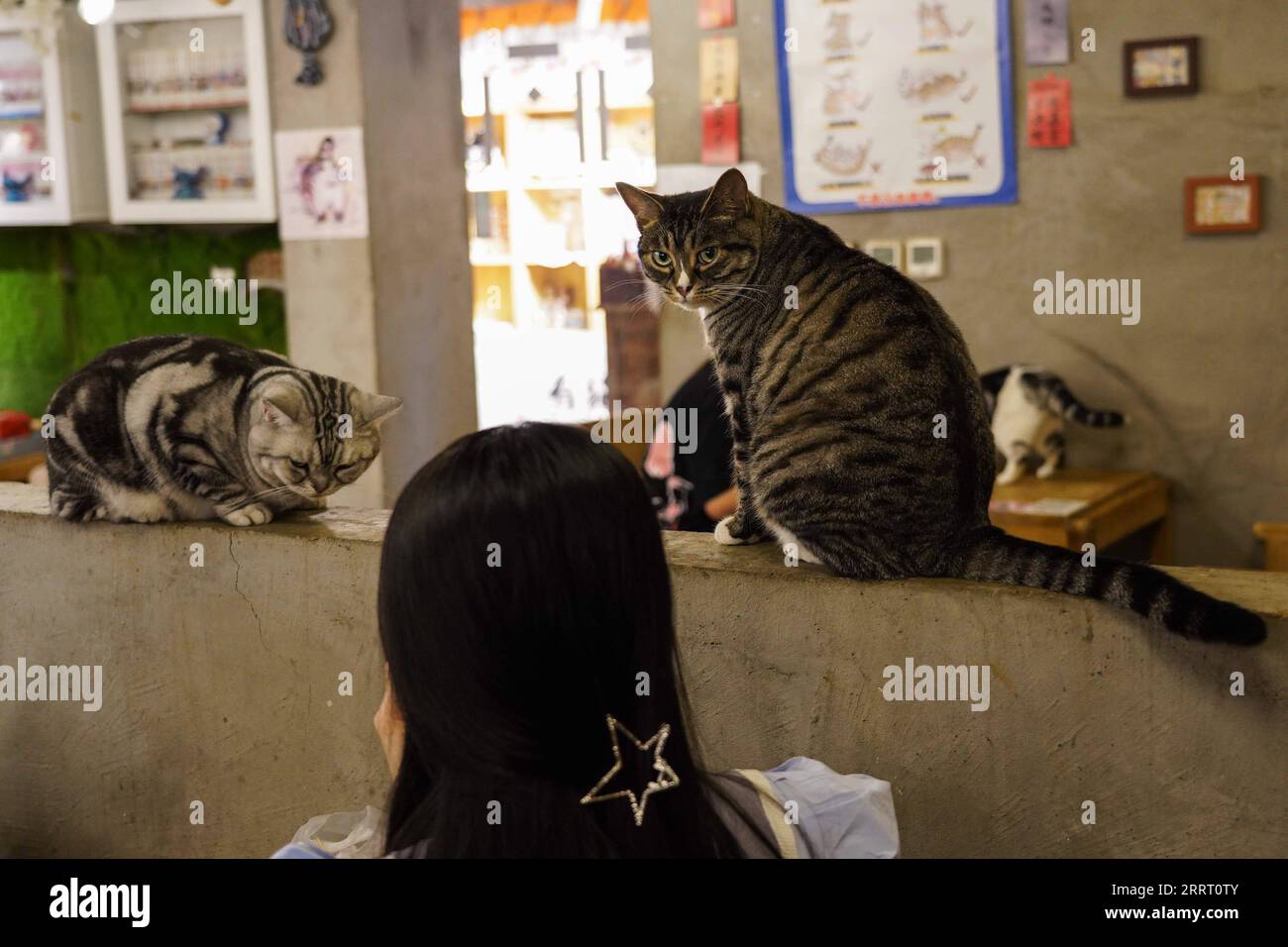 Entrepreneurial resources hi-res stock photography and images - Alamy