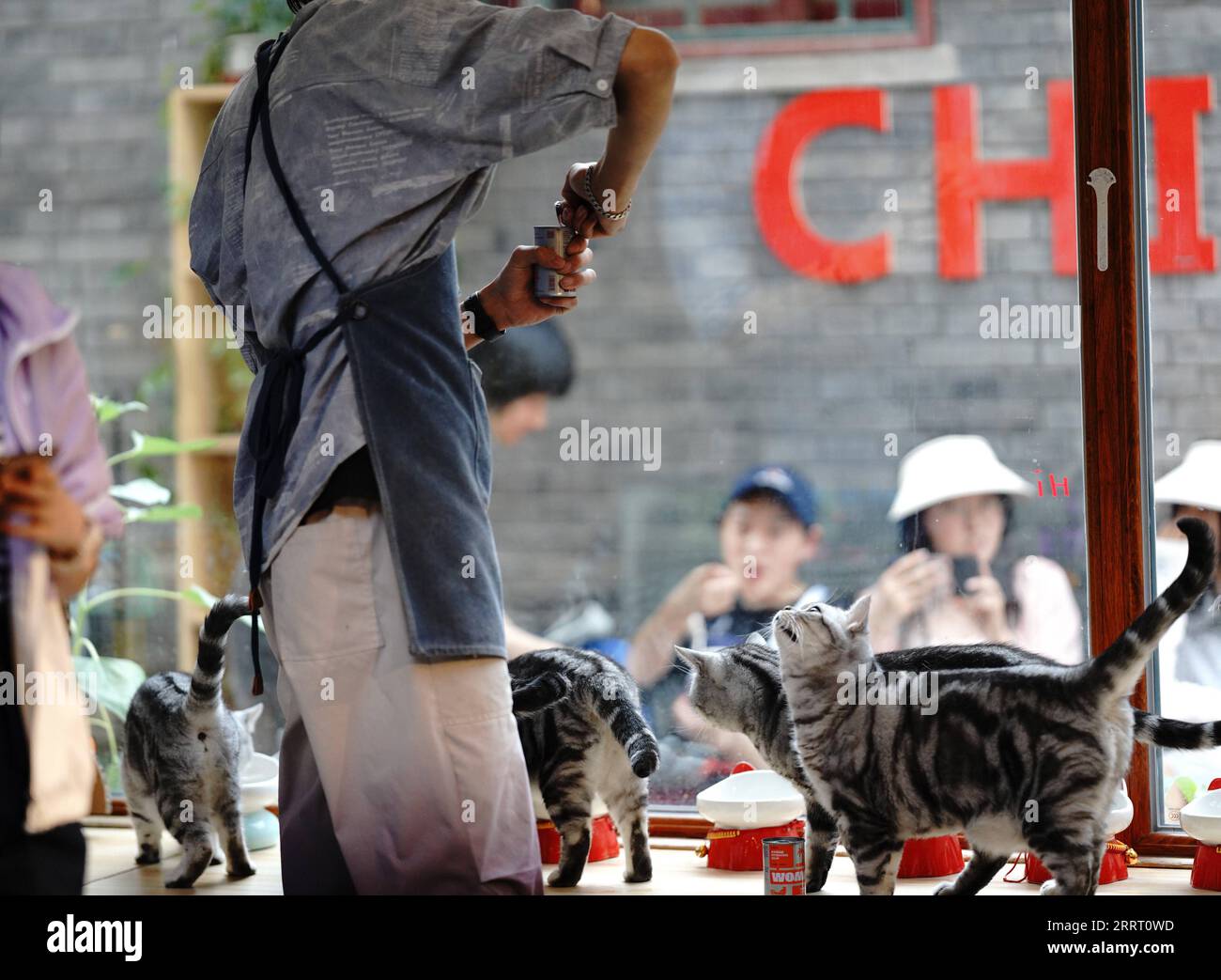 Food retrieval hi-res stock photography and images - Alamy