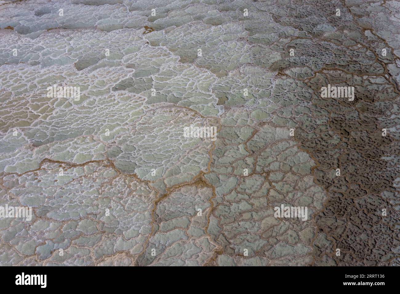 Salt extraction from the sea hi-res stock photography and images - Alamy