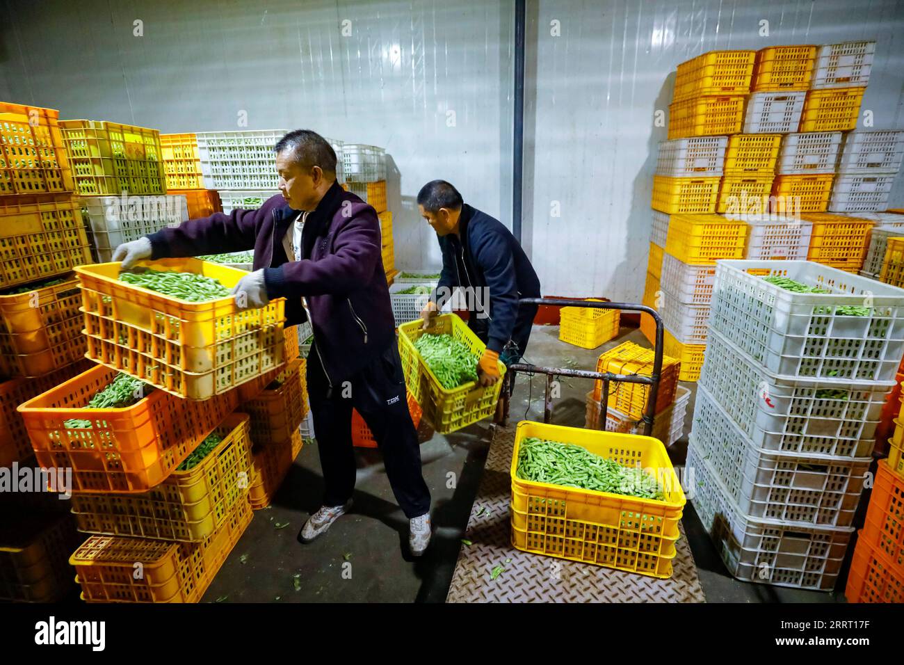 Carry tables hi-res stock photography and images - Alamy