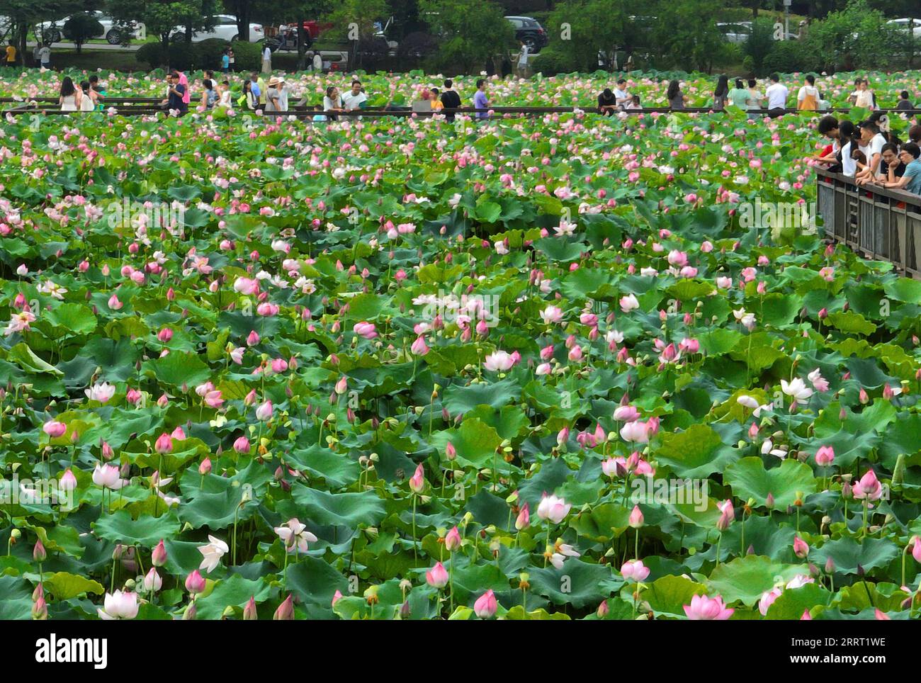 230623 -- HENGYANG, June 23, 2023 -- This aerial photo shows people ...