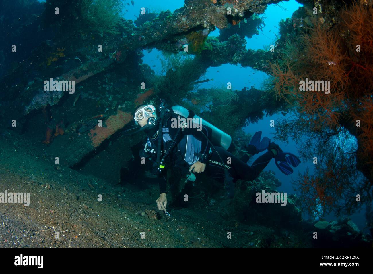 Female scuba diver boat hi-res stock photography and images - Alamy