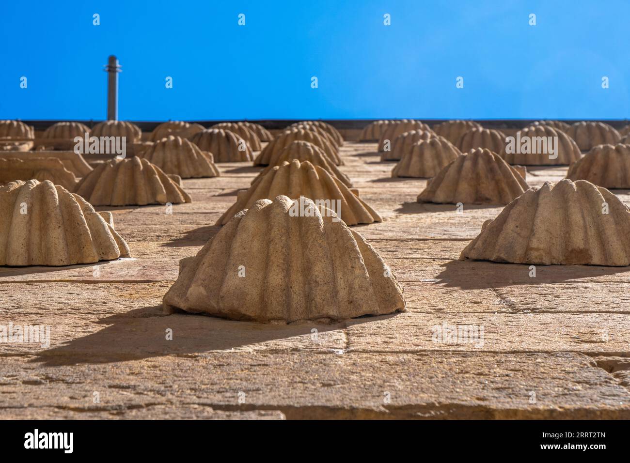 Low-relief low-relief molding of shells sculpted into orange granite ...