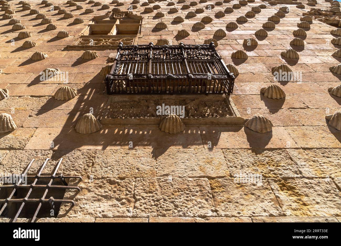 Perspective from below of the bas-relief moldings of the rock shells ...