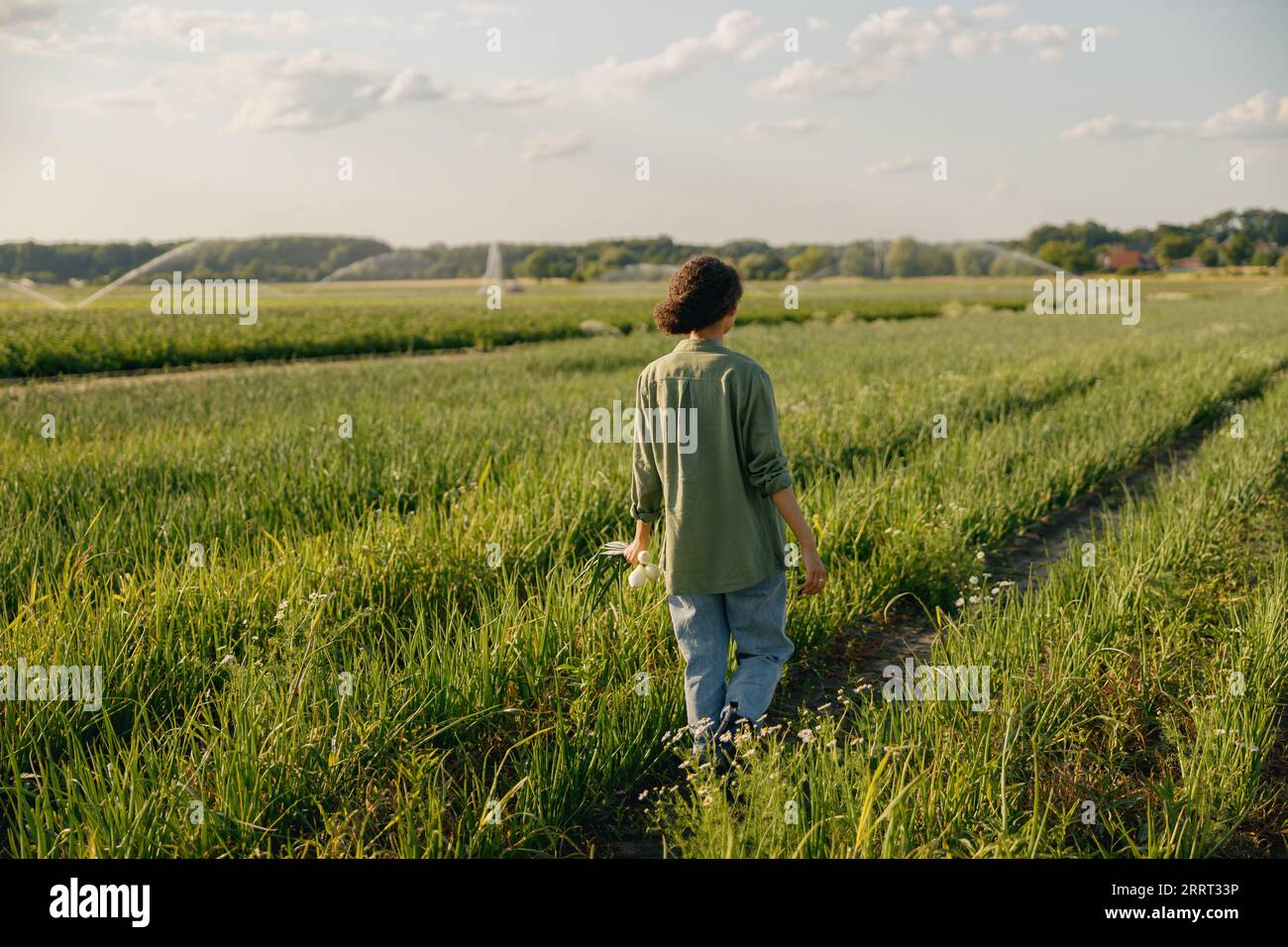 Back view of female farmer walks across a field during harvesting ...