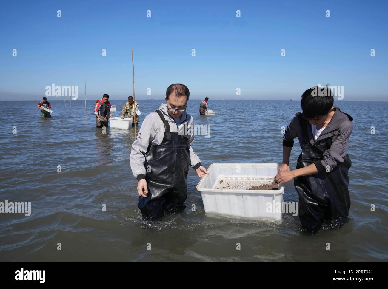 Nearshore ecosystem hi-res stock photography and images - Alamy