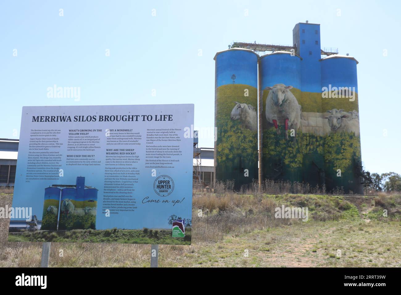 Merriwa Silo Art, Merriwa, New South Wales, Australia Stock Photo - Alamy