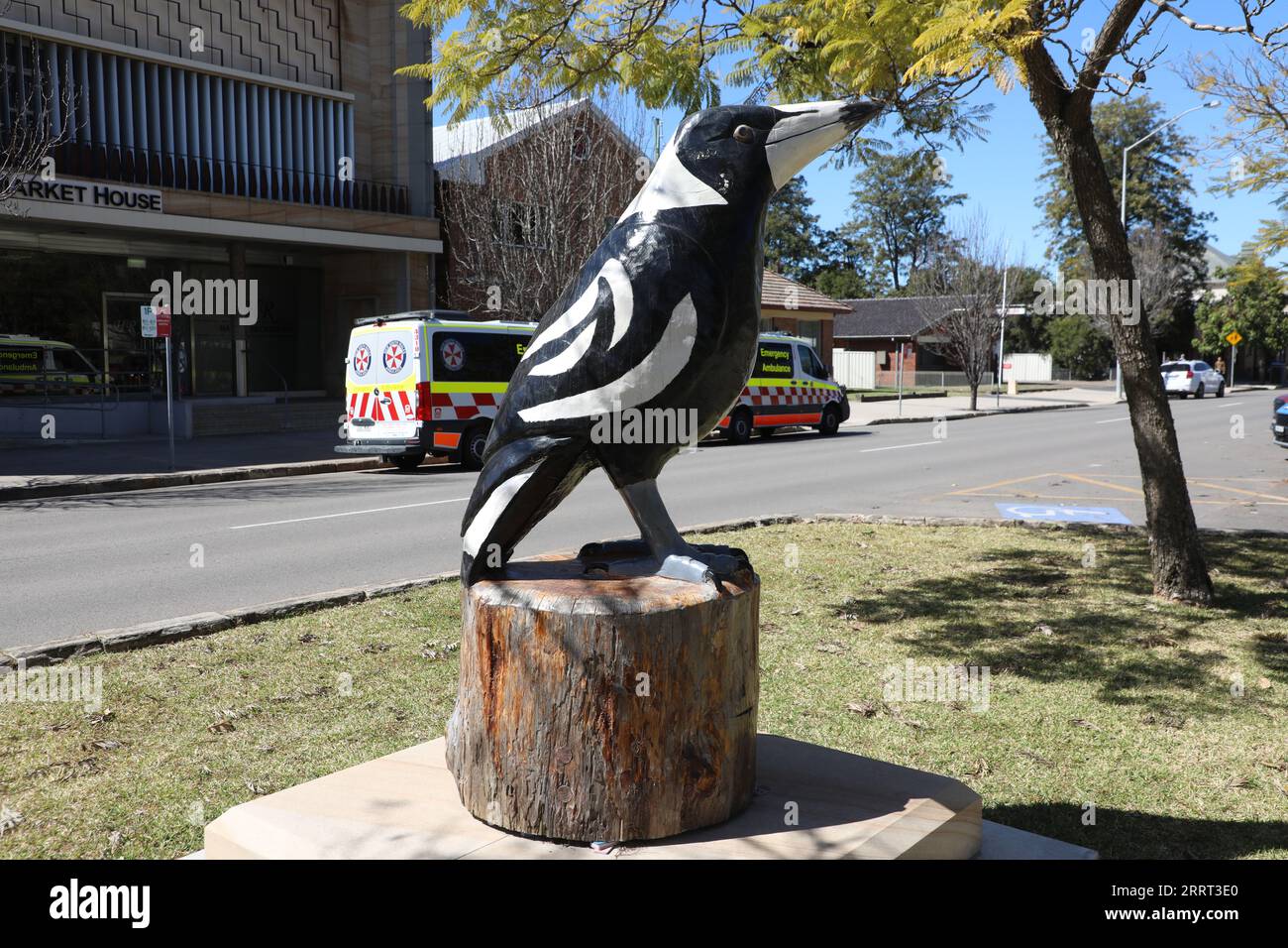 The Big Magpie Statue in Muswellbrook, New South Wales, Australia Stock ...