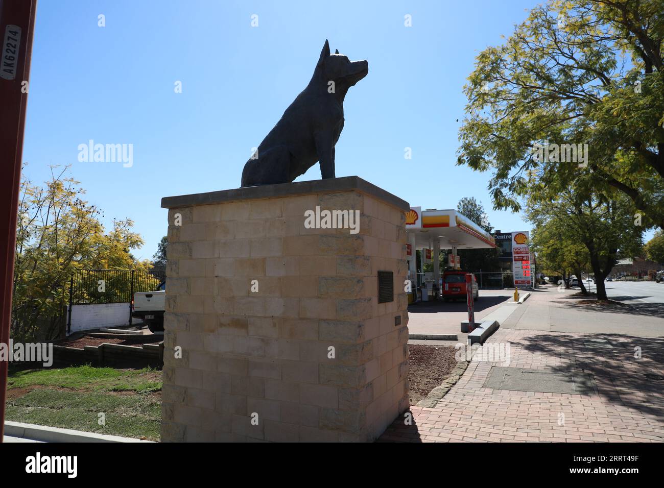 Blue Heeler Cattle Dog Statue, historical landmark in Muswellbrook, New ...