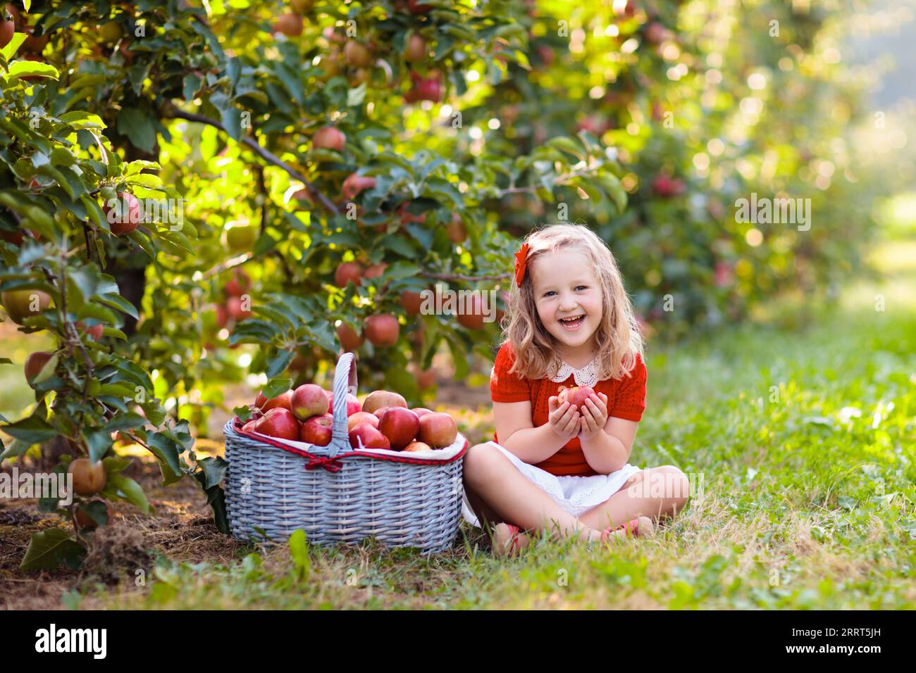 Child picking fruits hi-res stock photography and images - Alamy