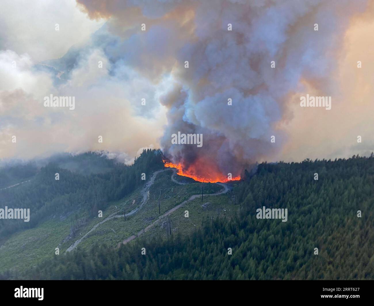 Canada wildfires 2023 forest hi-res stock photography and images - Alamy
