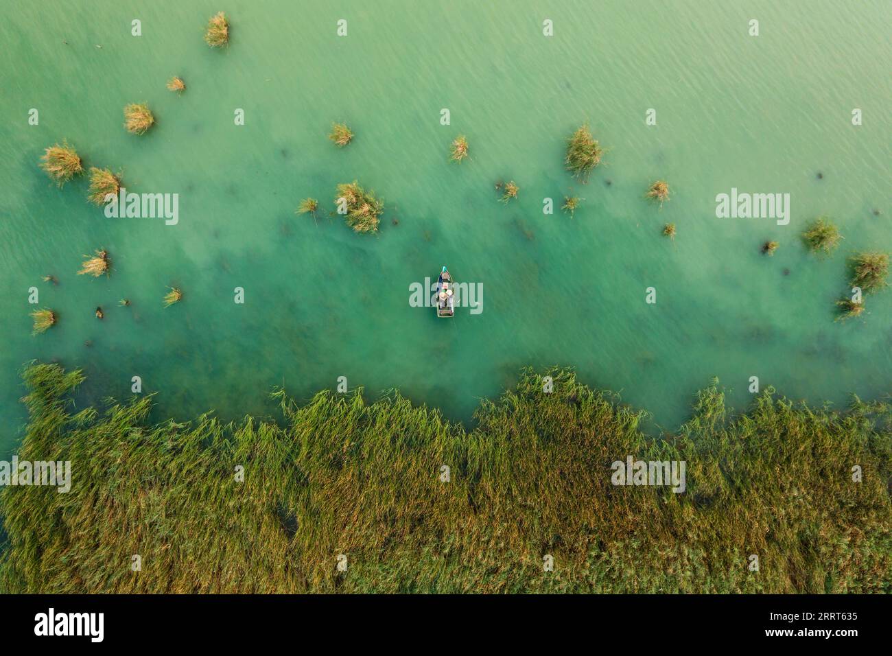 Fisherman fishing in the reeds at lake Balaton. Still life Stock Photo ...
