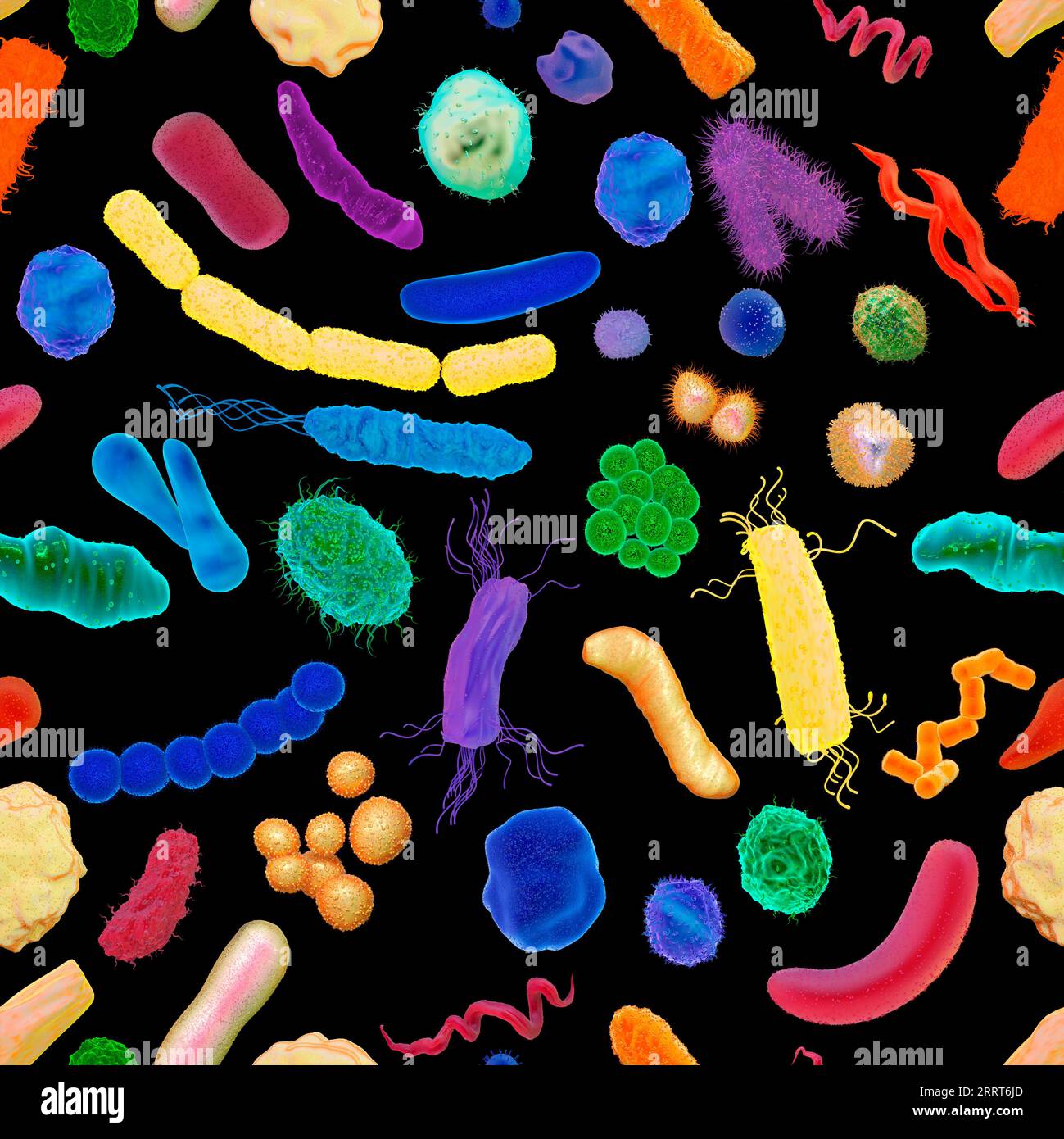 Various bacteria, illustration Stock Photo - Alamy